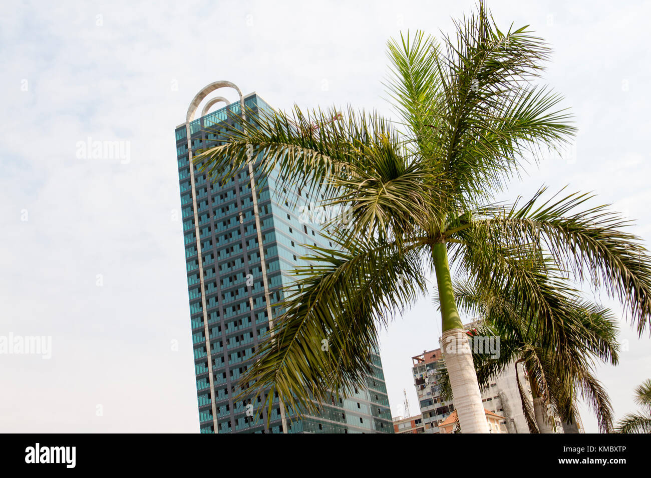 Palm tree against skyscraper in Luanda capital of Angola Stock Photo ...