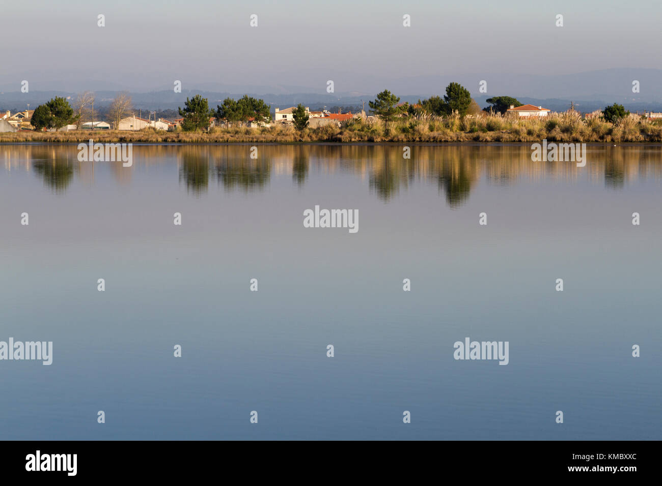Estuarine ecosystem hi-res stock photography and images - Alamy