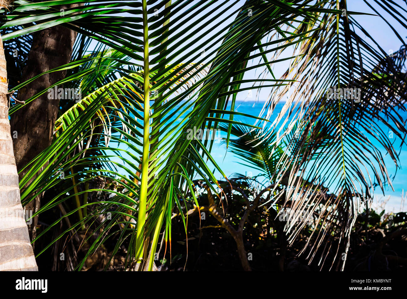 Bottom Bay Beach; Bottom Bay; St. Philip; Barbados Stock Photo - Alamy