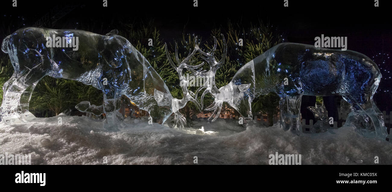 Two rutting red deer stags carved out of ice in The Ice Adventure: a ...