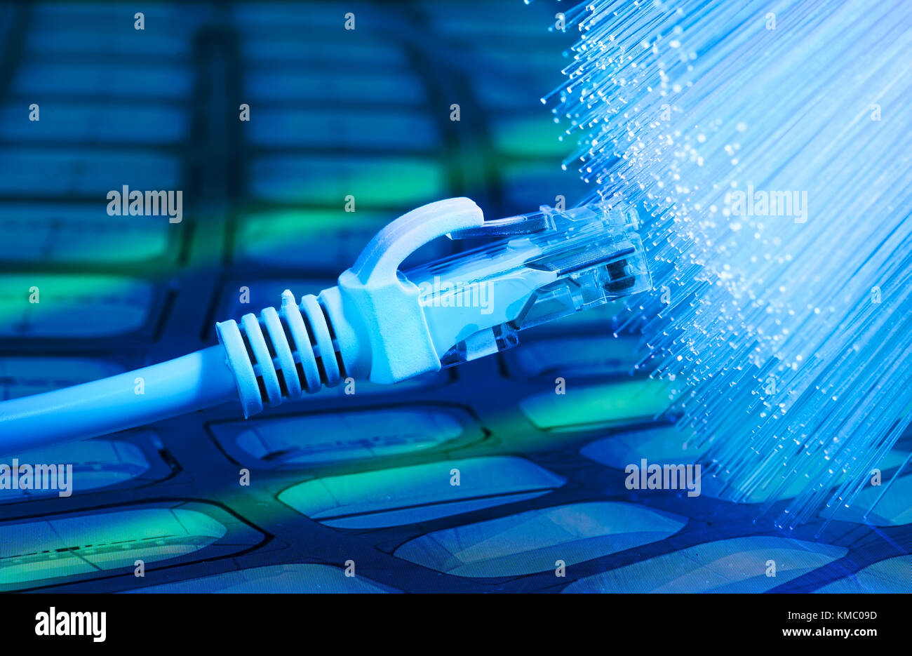 network cables closeup with fiber optical background Stock Photo - Alamy
