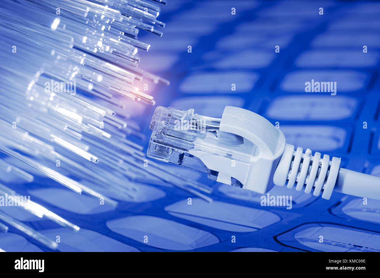 network cables closeup with fiber optical background Stock Photo - Alamy