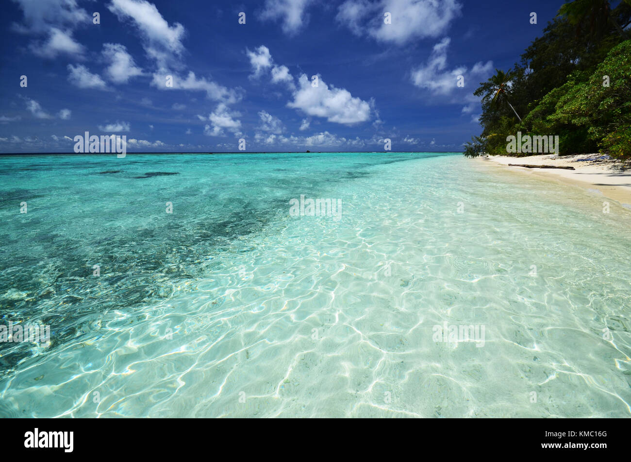 Beautiful ocean colours hi-res stock photography and images - Alamy