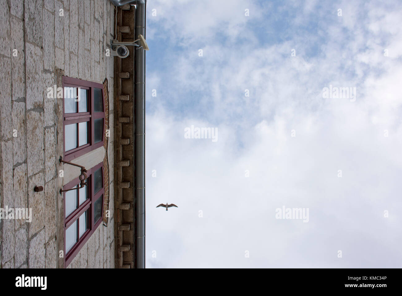 look up: building, windows and a bird in the sky! Stock Photo - Alamy