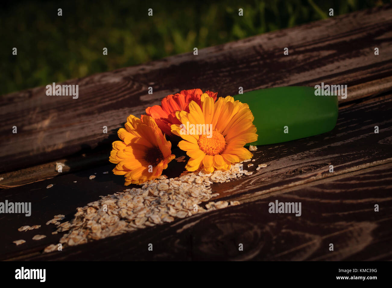 Fresh beautiful calendula petal hi-res stock photography and images - Alamy