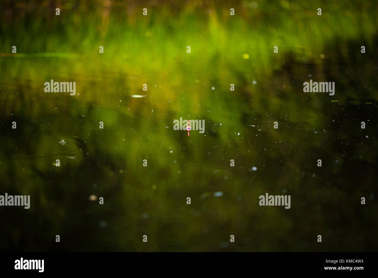 Water surface with fishing float and reflection of reeds Stock Photo ...