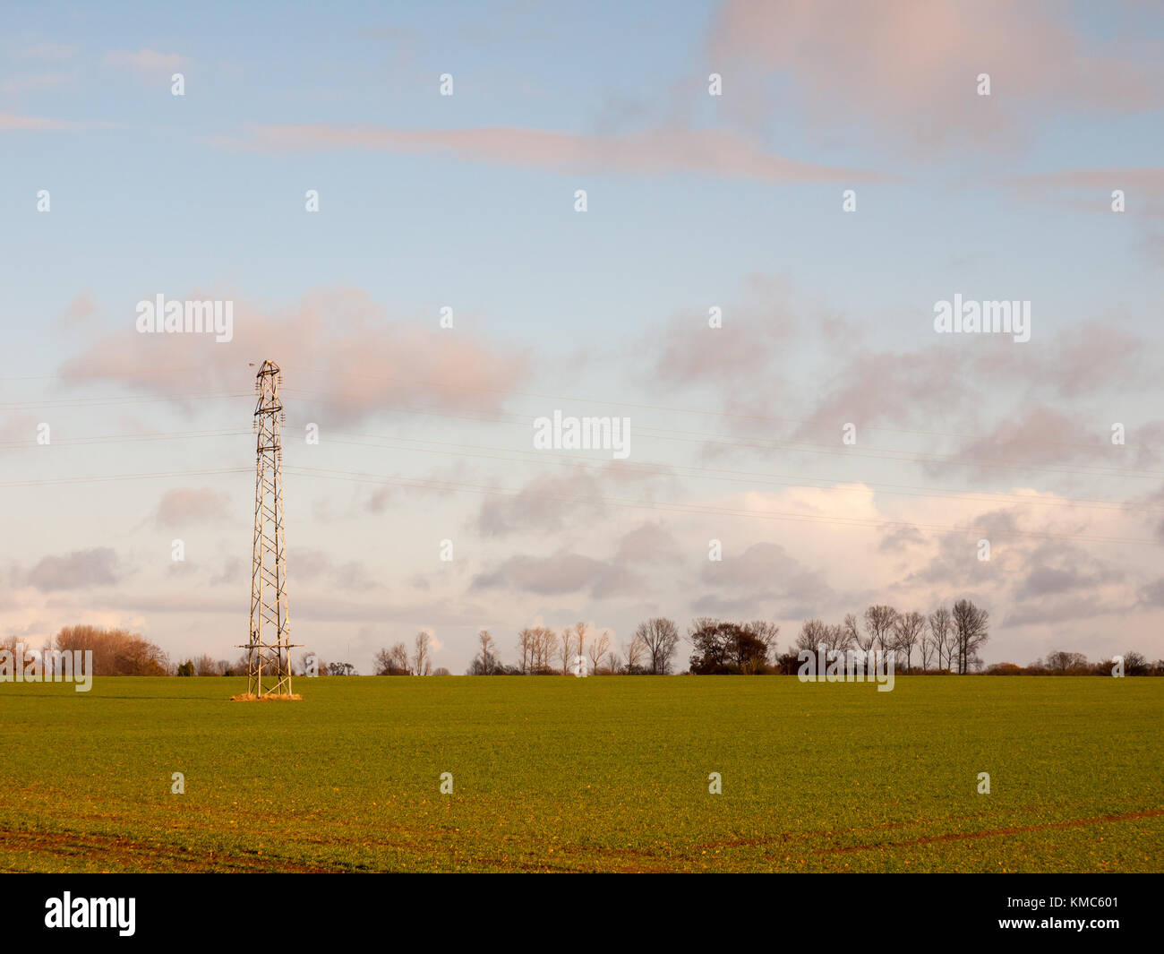 autumn green growing farmland landscape scene country with electricity ...