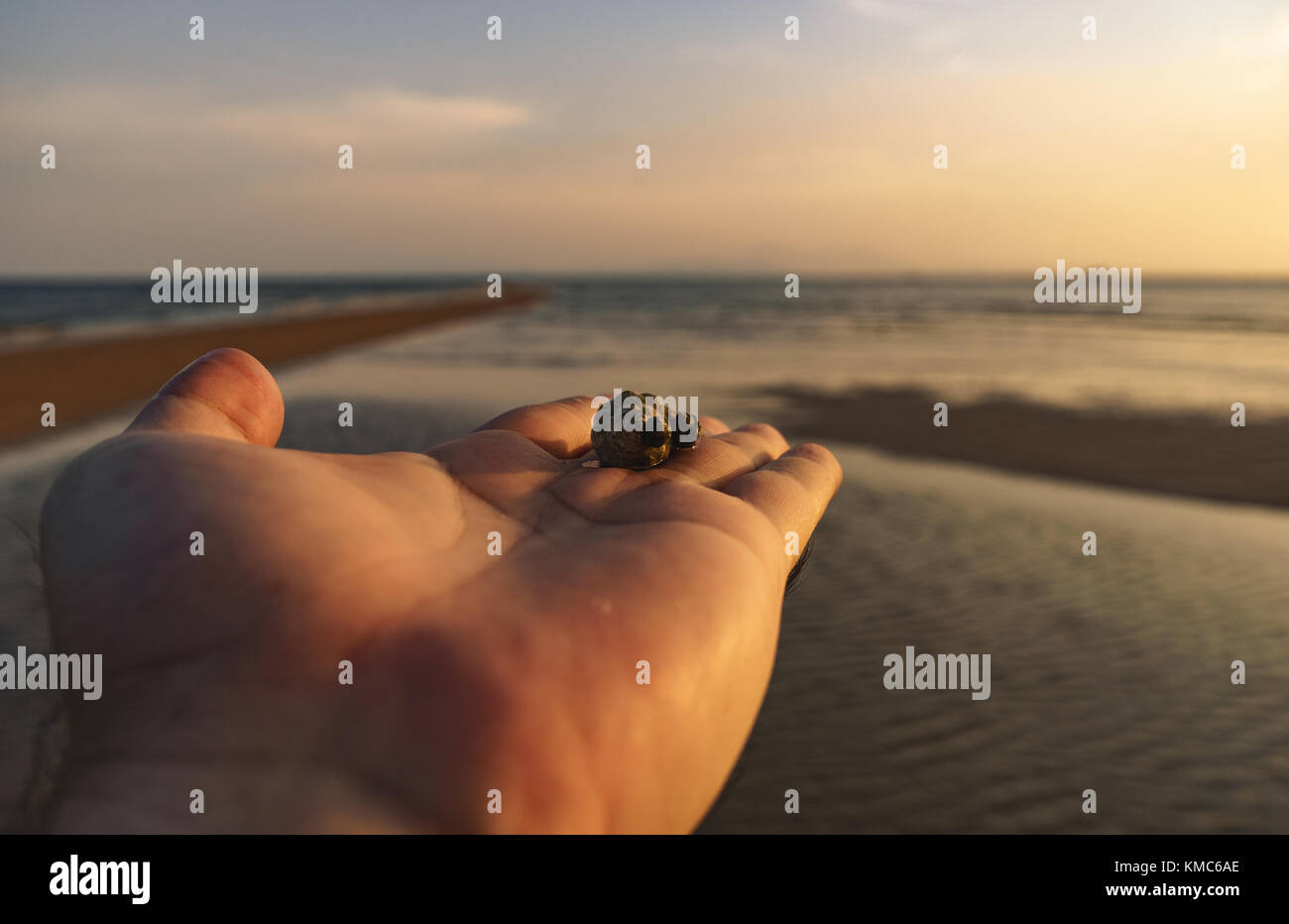 Hand on Shell,Sea and Sand Background Stock Photo - Alamy