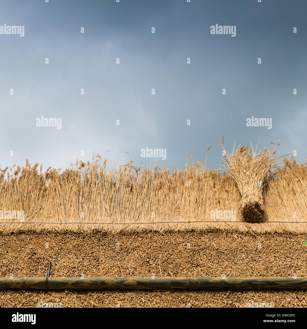 thatching a roof of a house with new straw.Thatched roof of a home ...