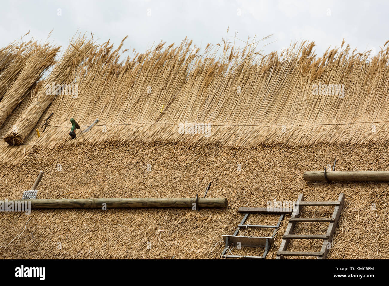 Thatcher thatching a roof of a house with new straw.Thatched roof of a ...