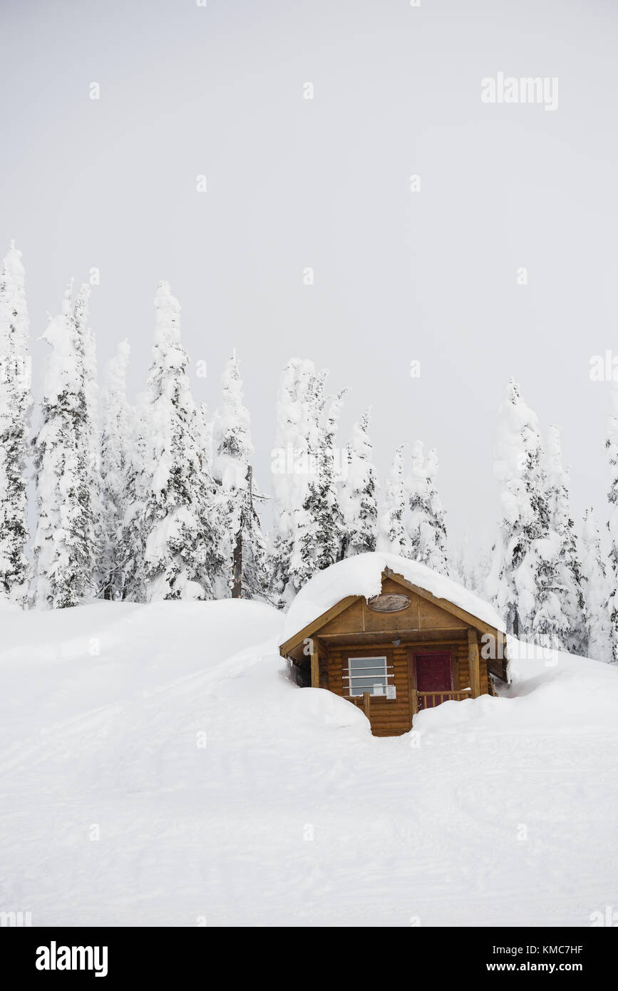 Trees hut snow hi-res stock photography and images - Alamy