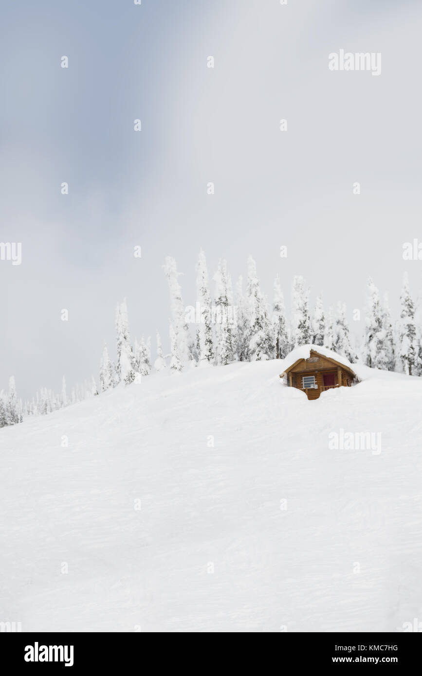 Beautiful winter landscape with snow covered trees and cottage Stock ...