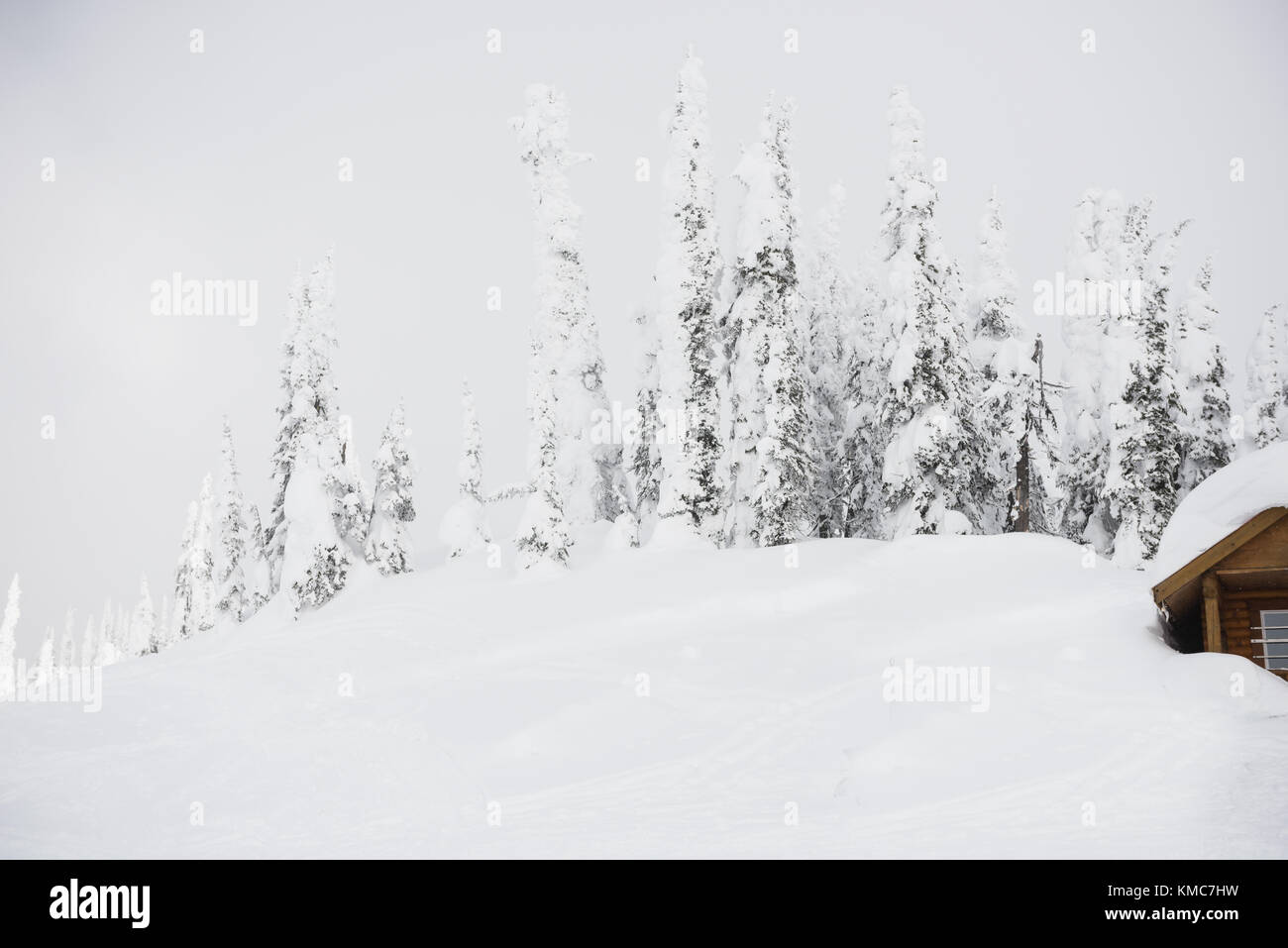 Winter landscape with wooden hut and snow covered trees Stock Photo - Alamy