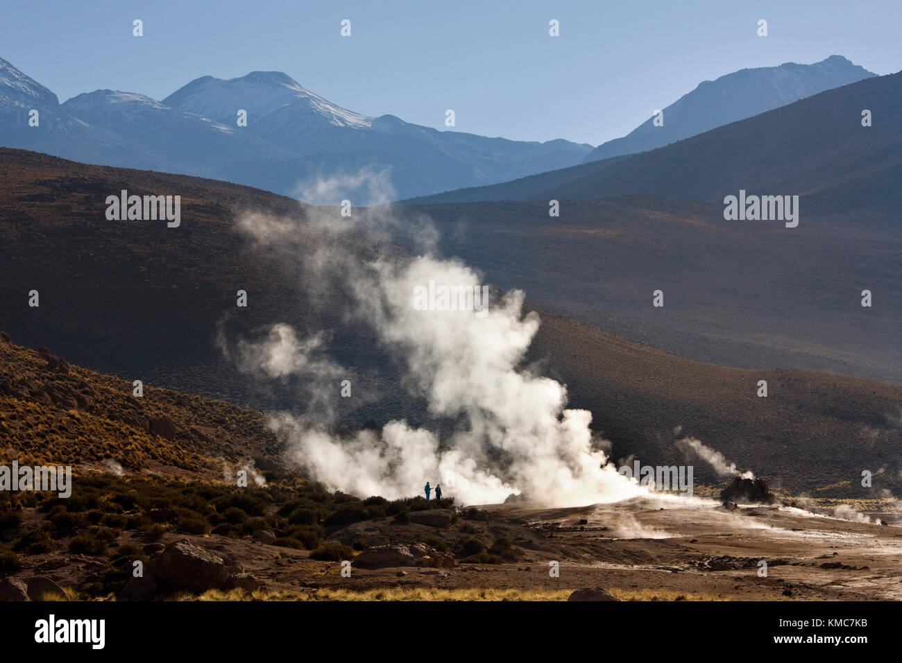 Geysers and geothermal steam vents at the El Tatio Geyser Field at an ...
