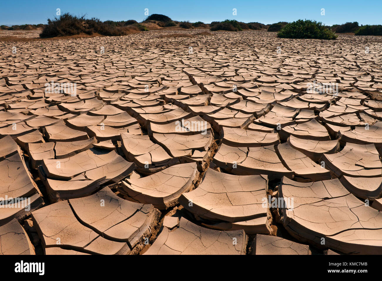 Dry cracked earth - Namib-nuakluft National Park in the Namib Desert in ...