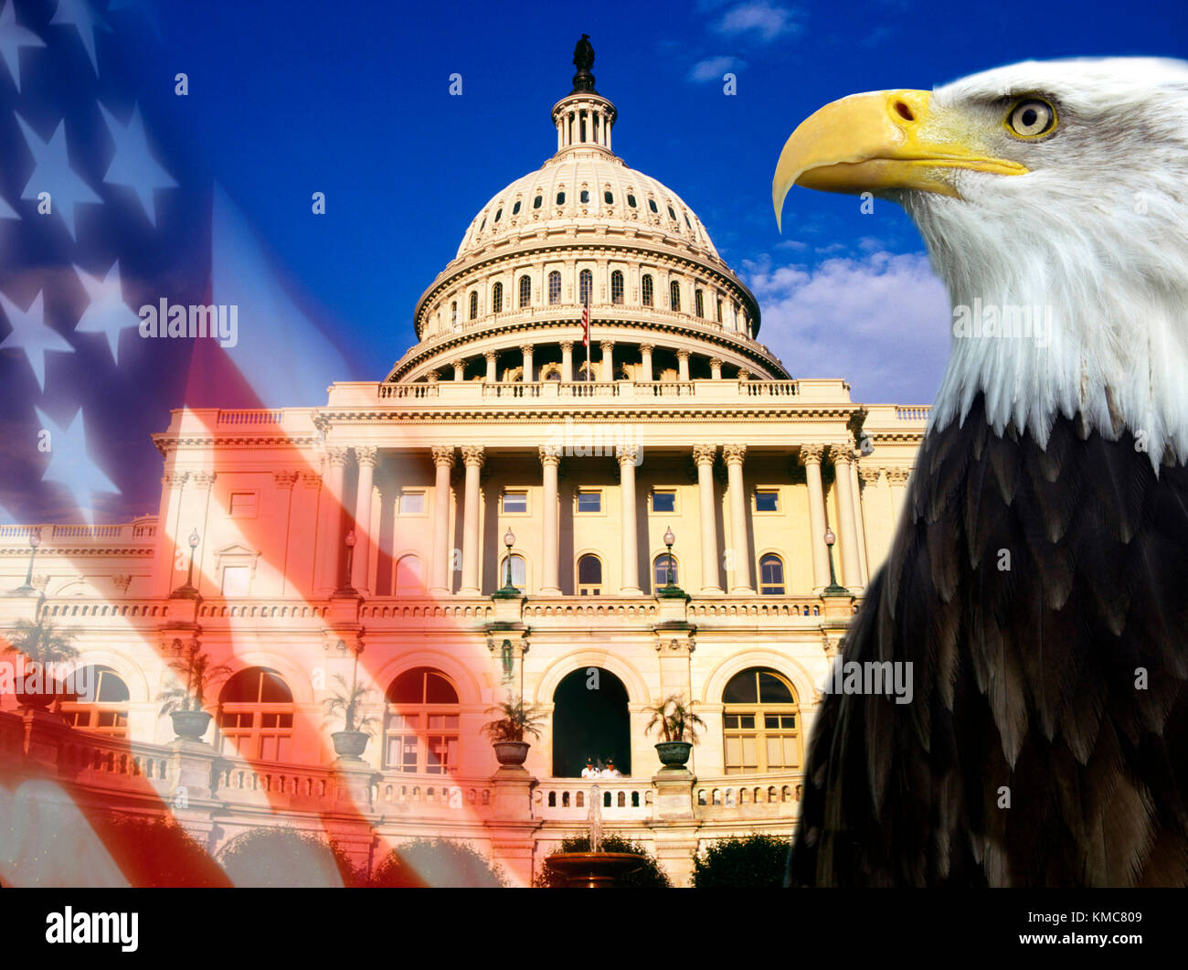 Symbols america flag bald eagle hi-res stock photography and images - Alamy