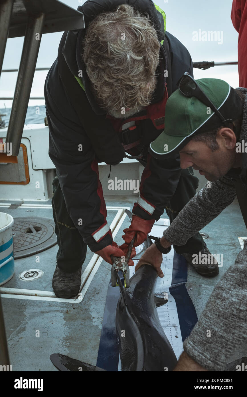 Tagging hi-res stock photography and images - Alamy