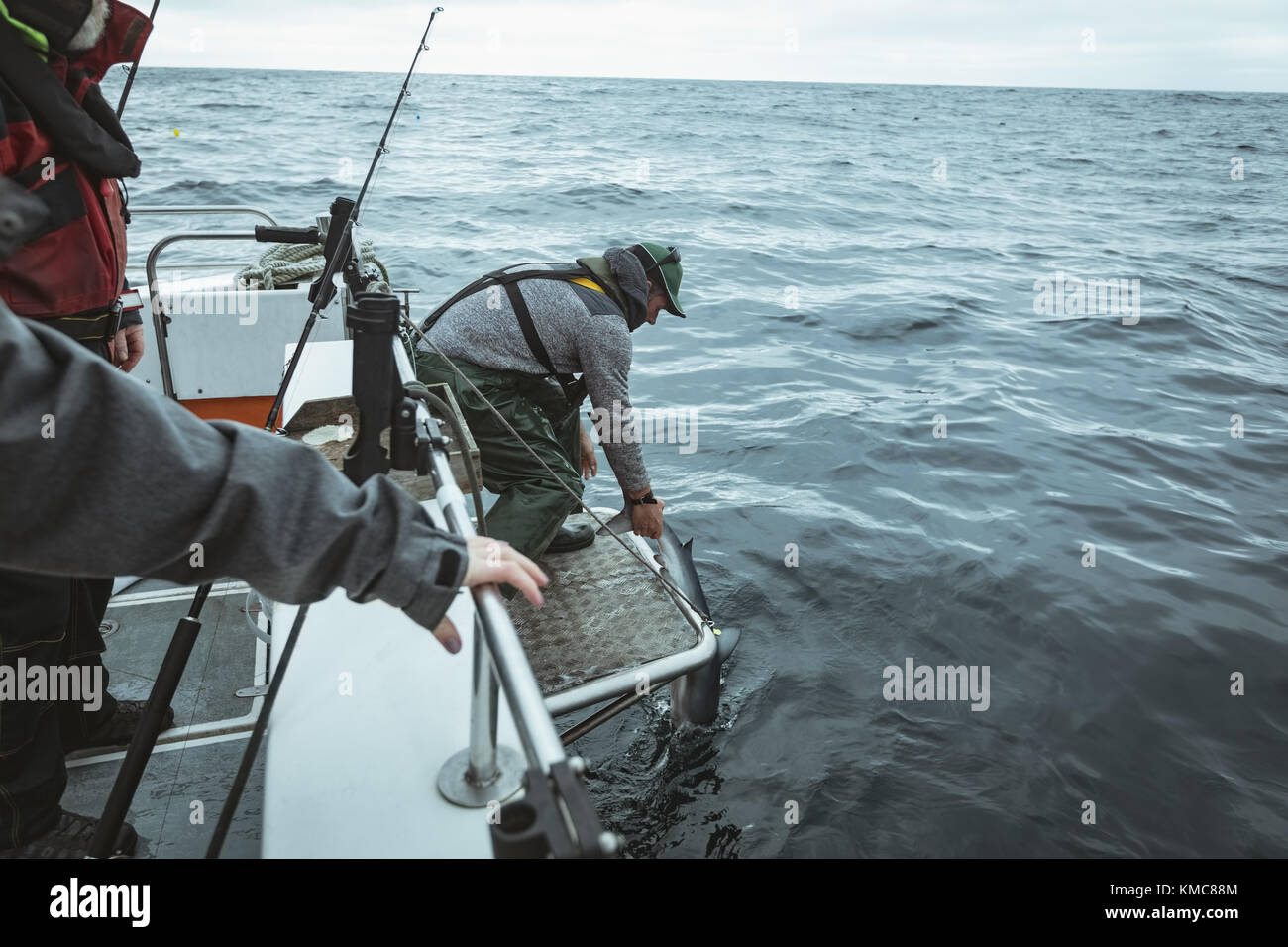 Fisherman leaving shark in sea Stock Photo - Alamy