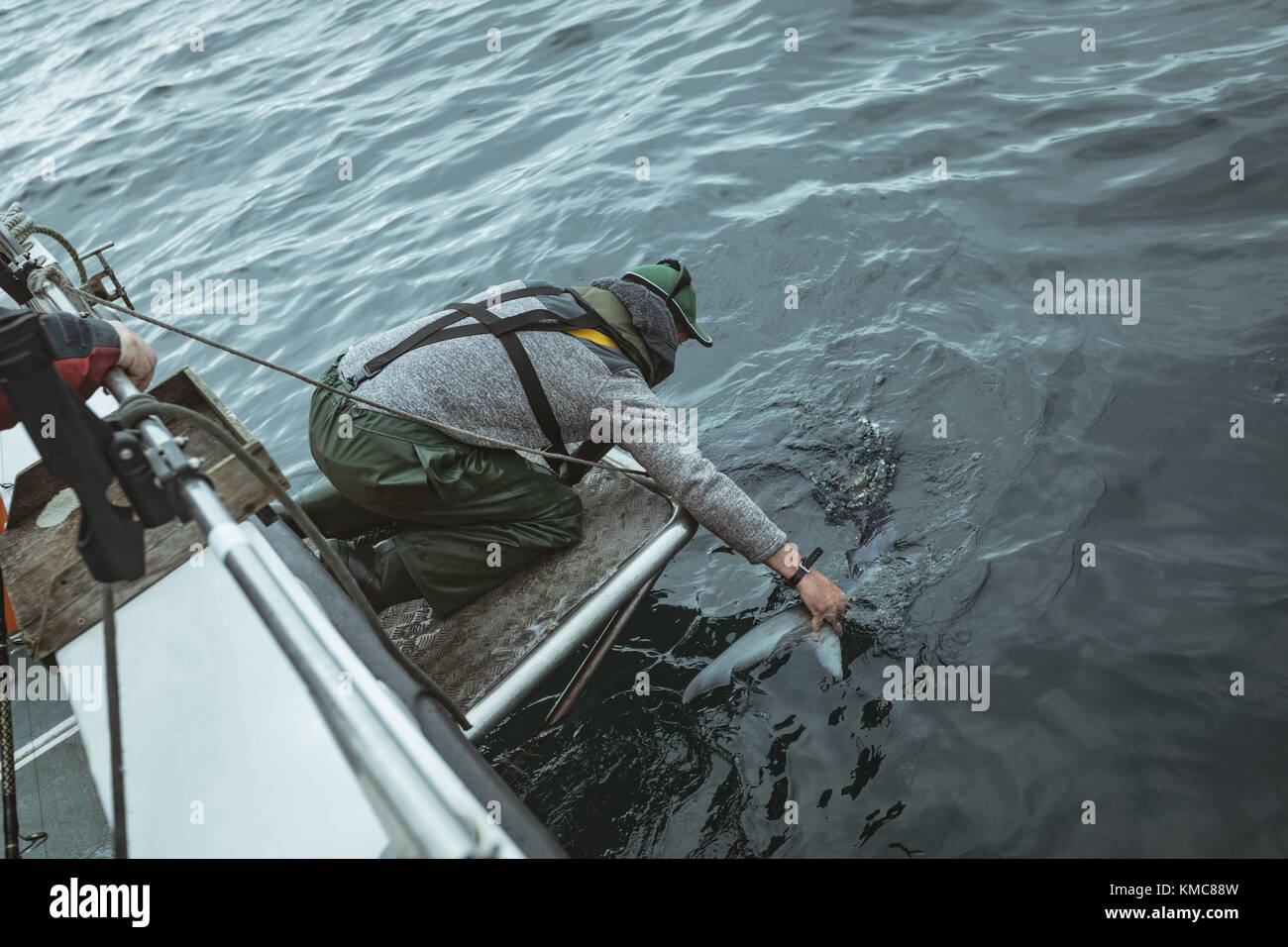 Fisherman leaving shark in sea Stock Photo - Alamy