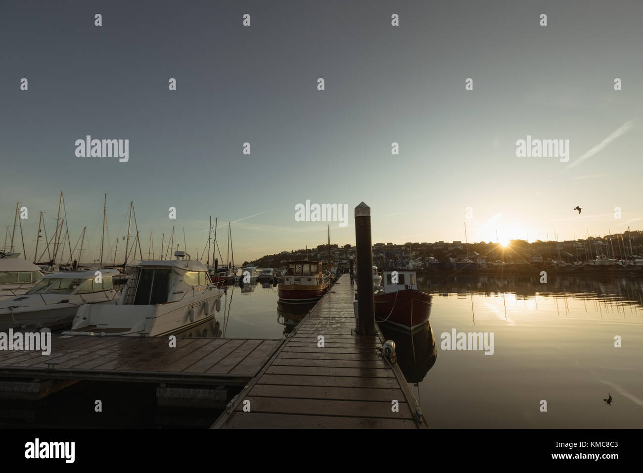 Moored boat and empty jetty at harbor Stock Photo - Alamy