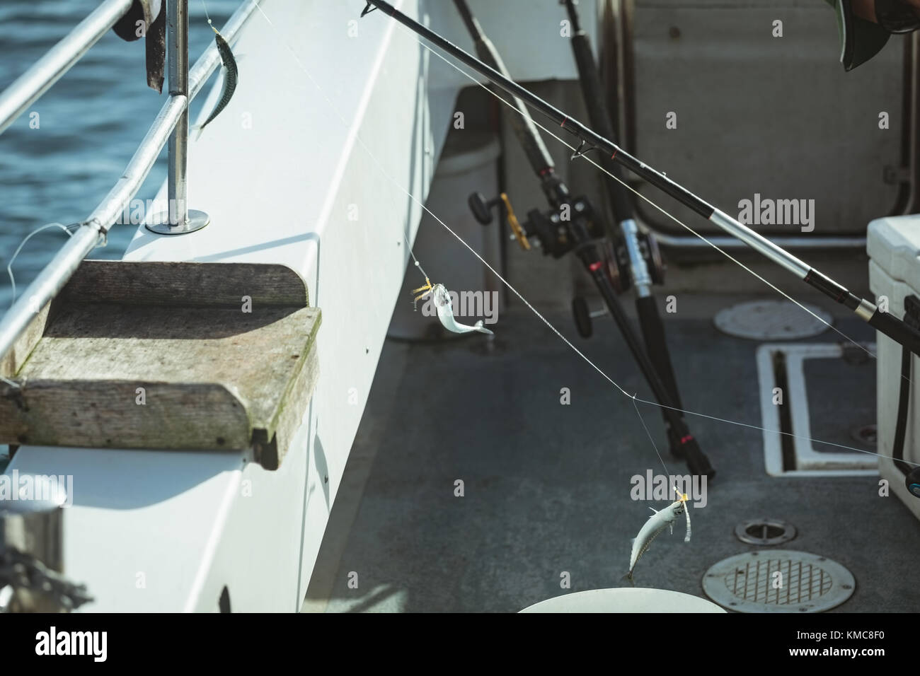 Fish caught in fishing rod Stock Photo - Alamy