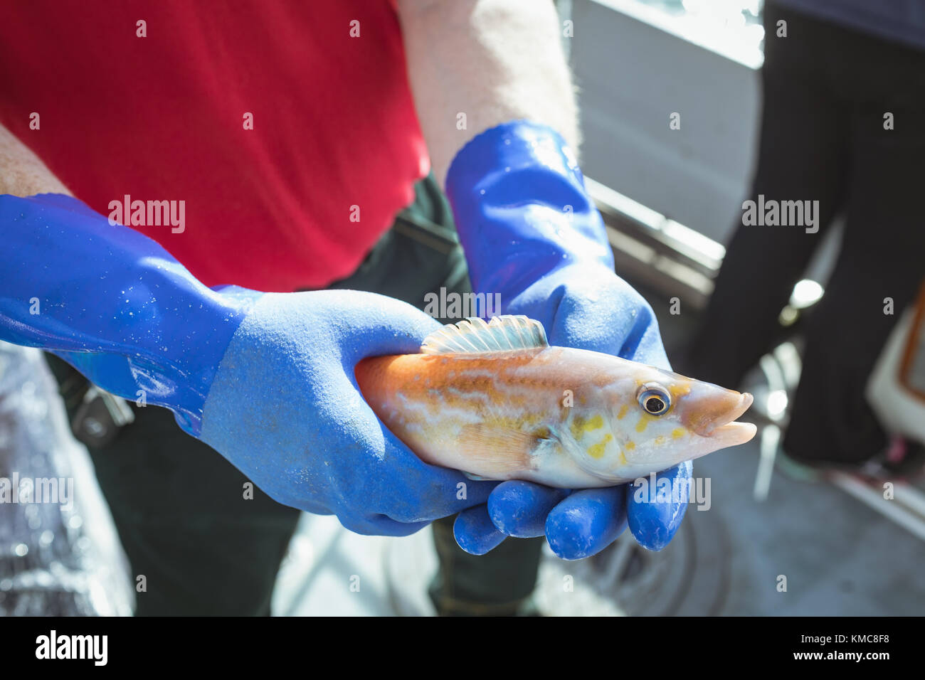 Fisherman holding fish Stock Photo - Alamy