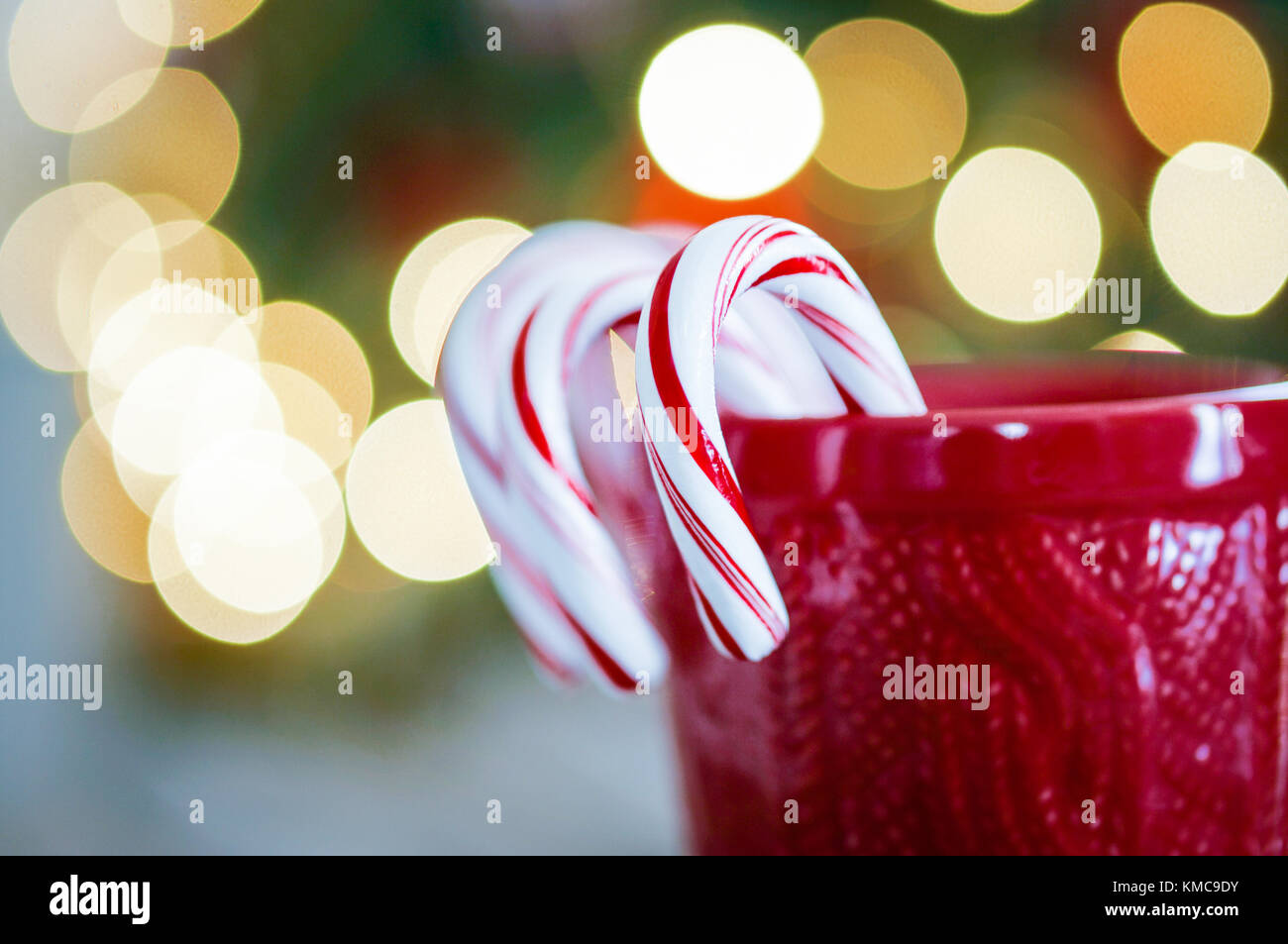 Christmas Peppermint Candy Canes Stock Photo - Alamy