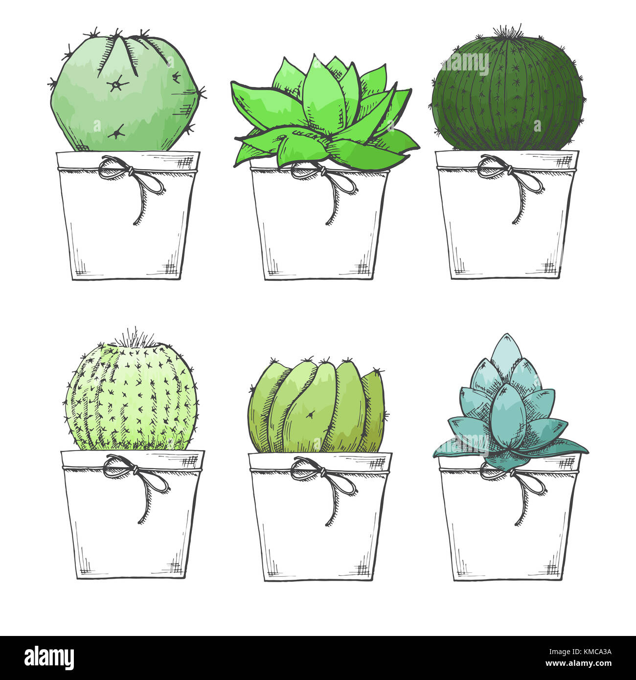 Potted Succulent Drawing