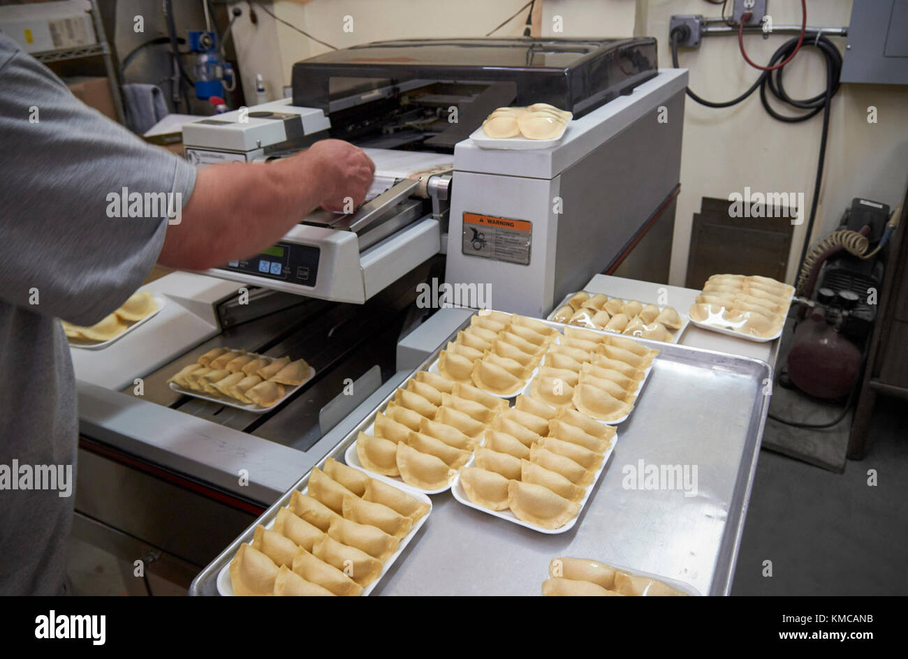 Half-automated packaging of polish dumplings production Stock Photo - Alamy
