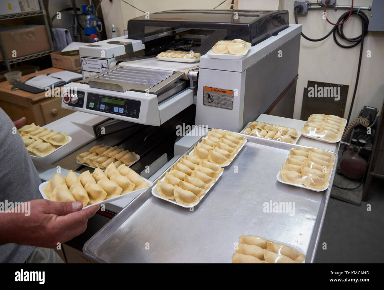 Half-automated packaging of polish dumplings production Stock Photo - Alamy