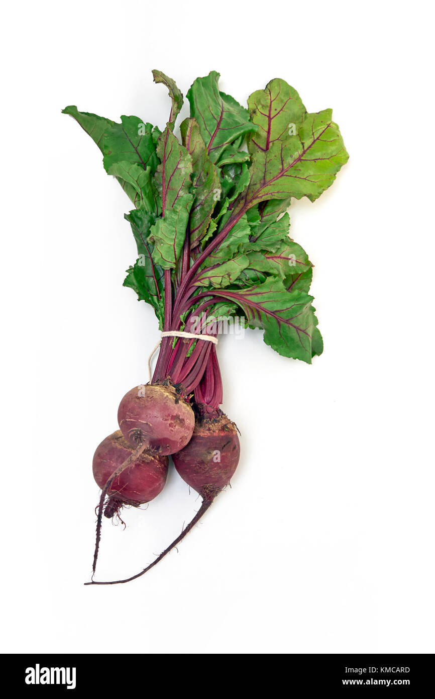 Fresh farm beetroot bunch on white board Stock Photo - Alamy