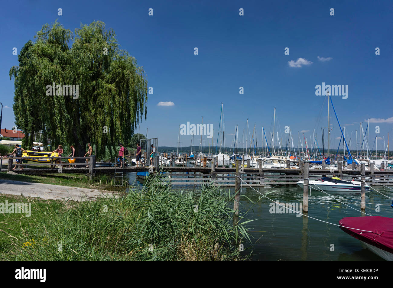 Marina , Lake Constance, Island Reichenau, Germany Stock Photo - Alamy