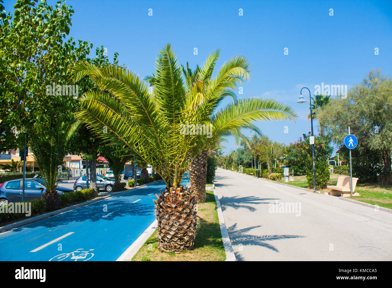 Adriatic sea coast. Seashore of city Alba Adriatica in Italy, Palm ...