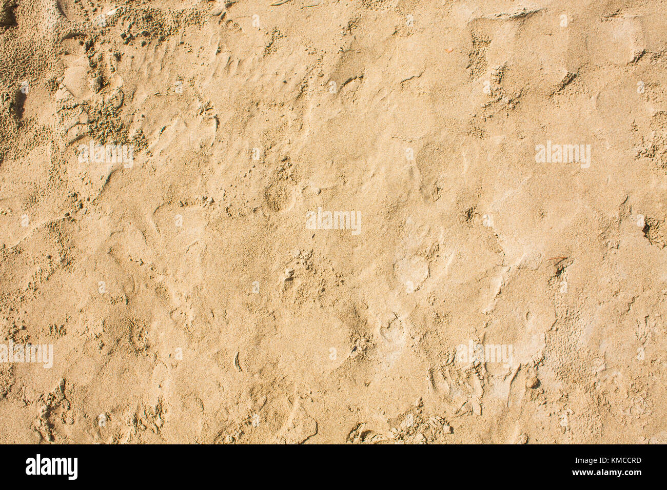 Sandy beach pattern closeup, Summer seacoast background Stock Photo - Alamy