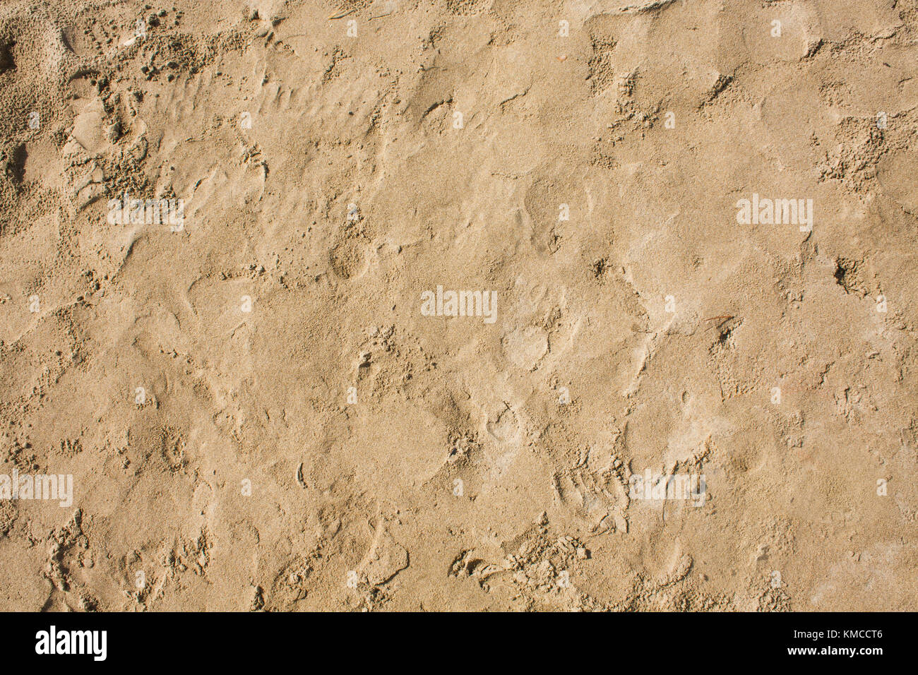 Sandy beach pattern closeup, Summer seacoast background Stock Photo - Alamy