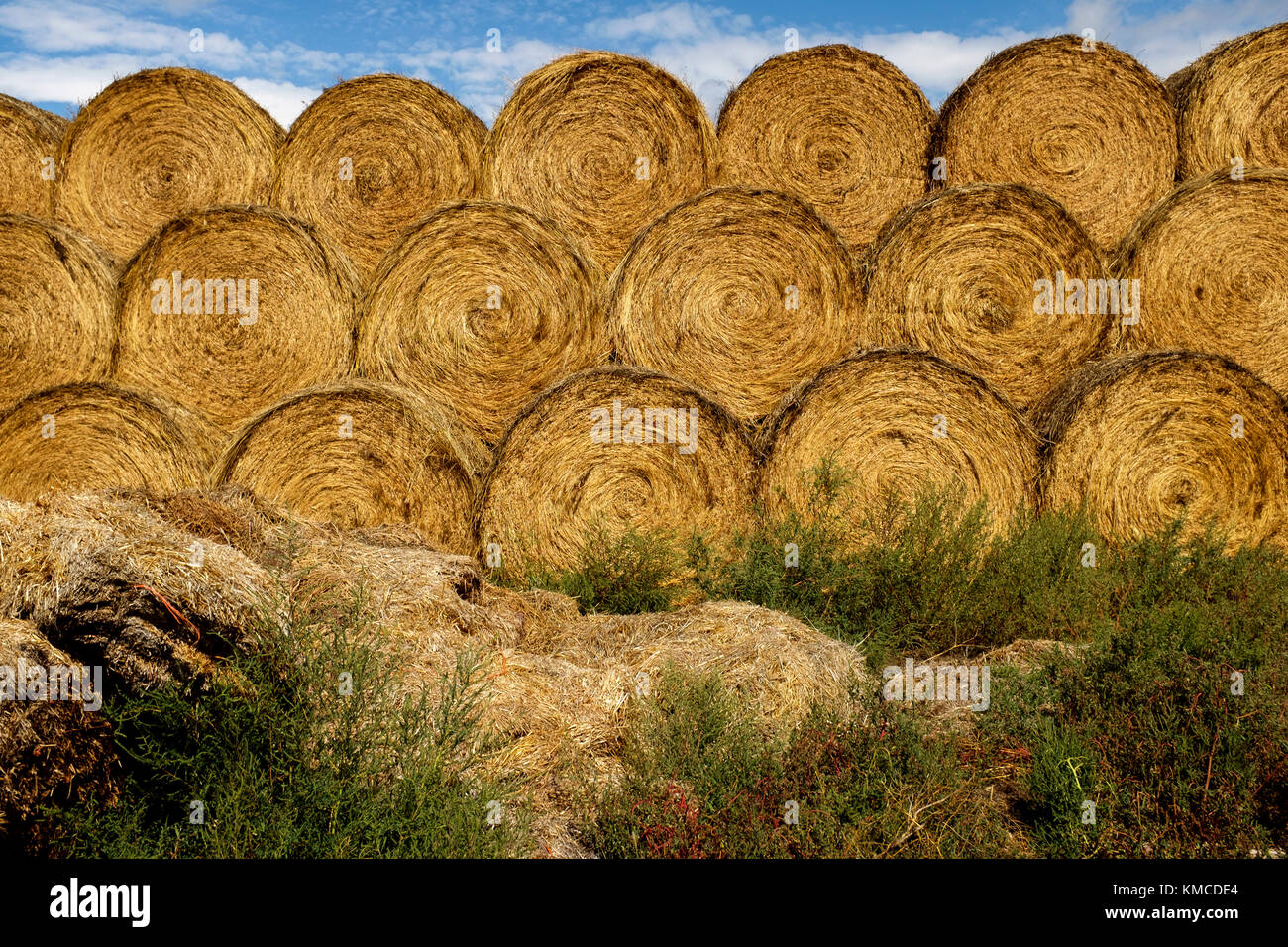 round hay bales stacked to the sky Stock Photo - Alamy