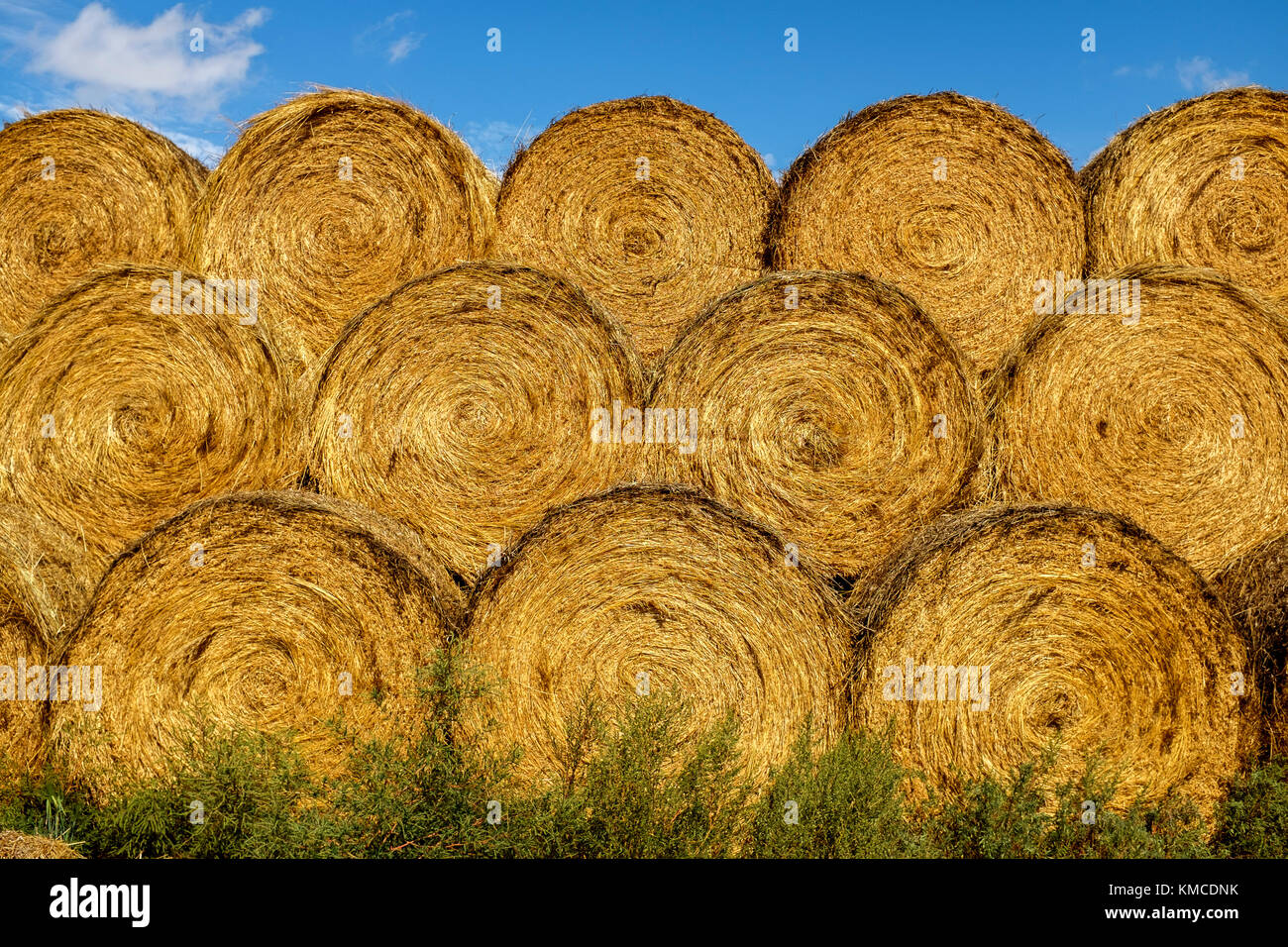 round hay bales stacked to the sky Stock Photo - Alamy