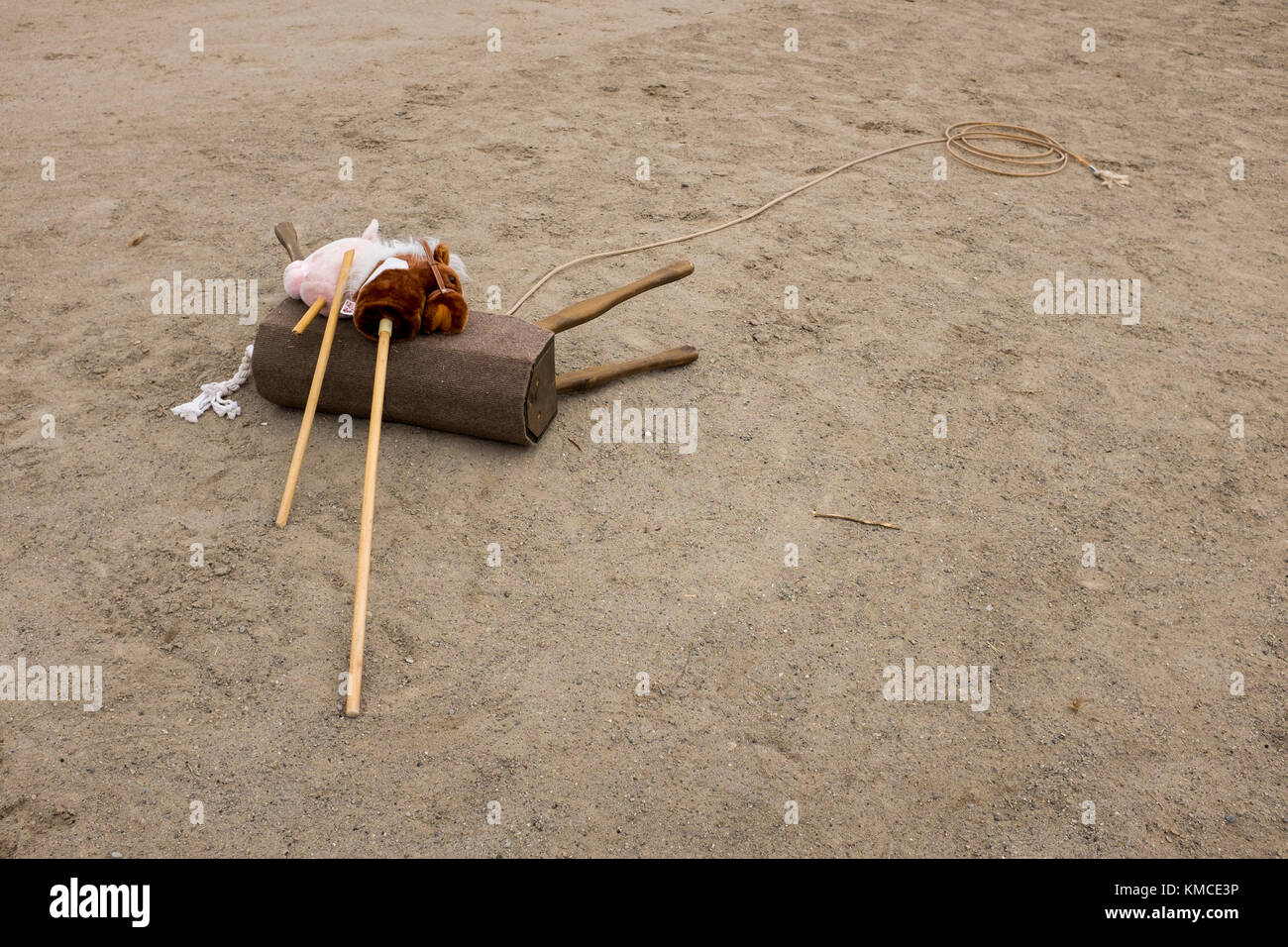 Real animals hi-res stock photography and images - Alamy