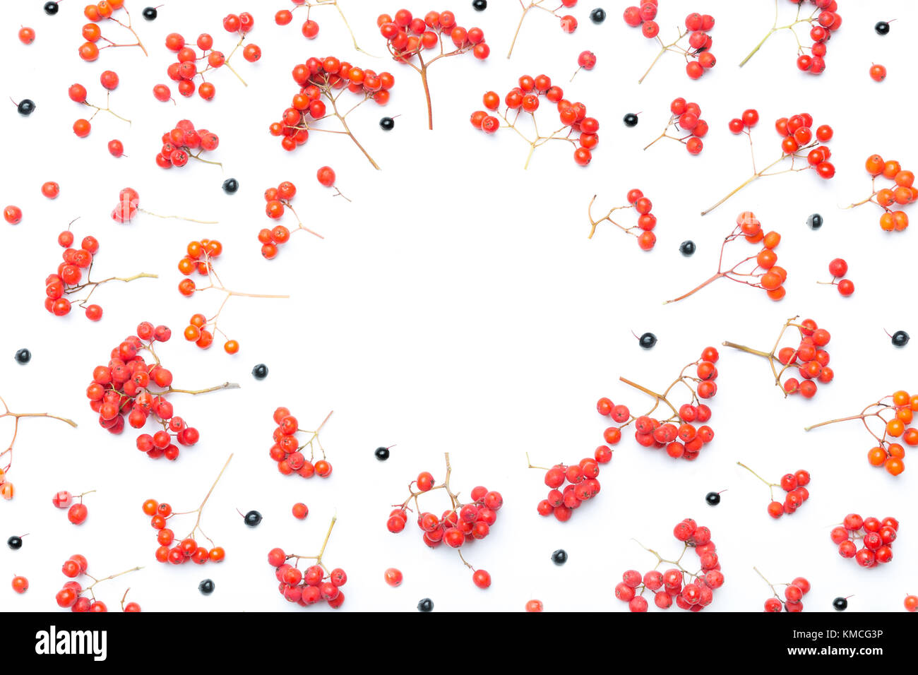 Autumn creative rowan background Stock Photo - Alamy