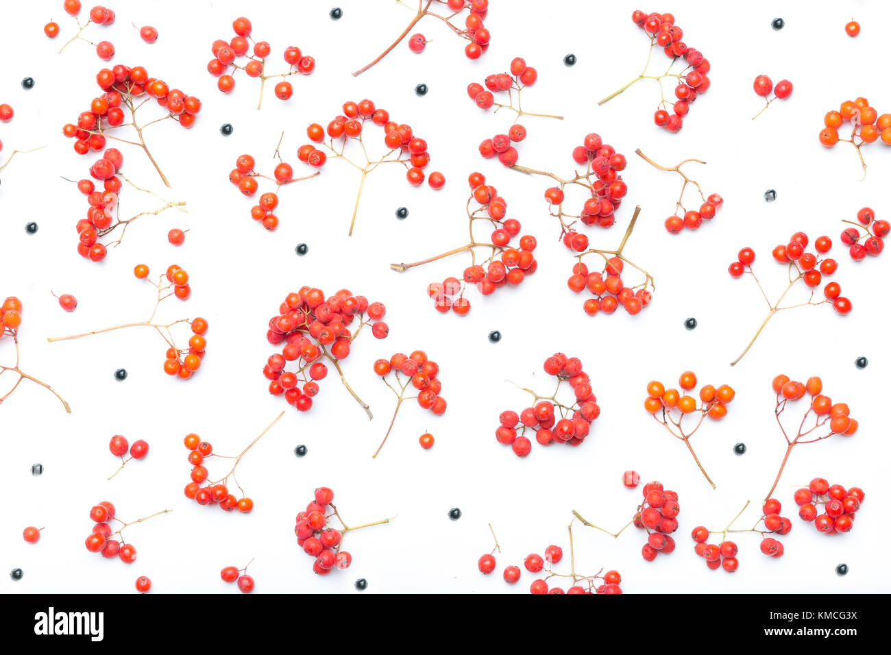 Rowan background hi-res stock photography and images - Alamy