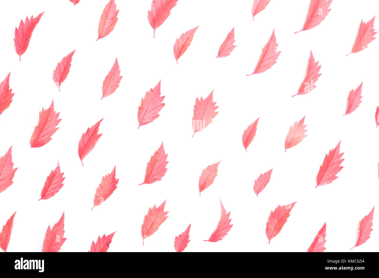 Autumn creative red leaves background Stock Photo - Alamy