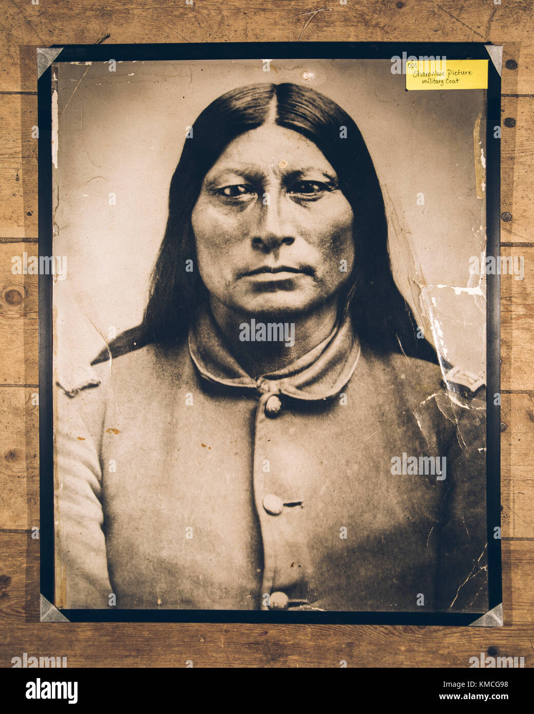 A portrait of Sharpnose Stock Photo - Alamy