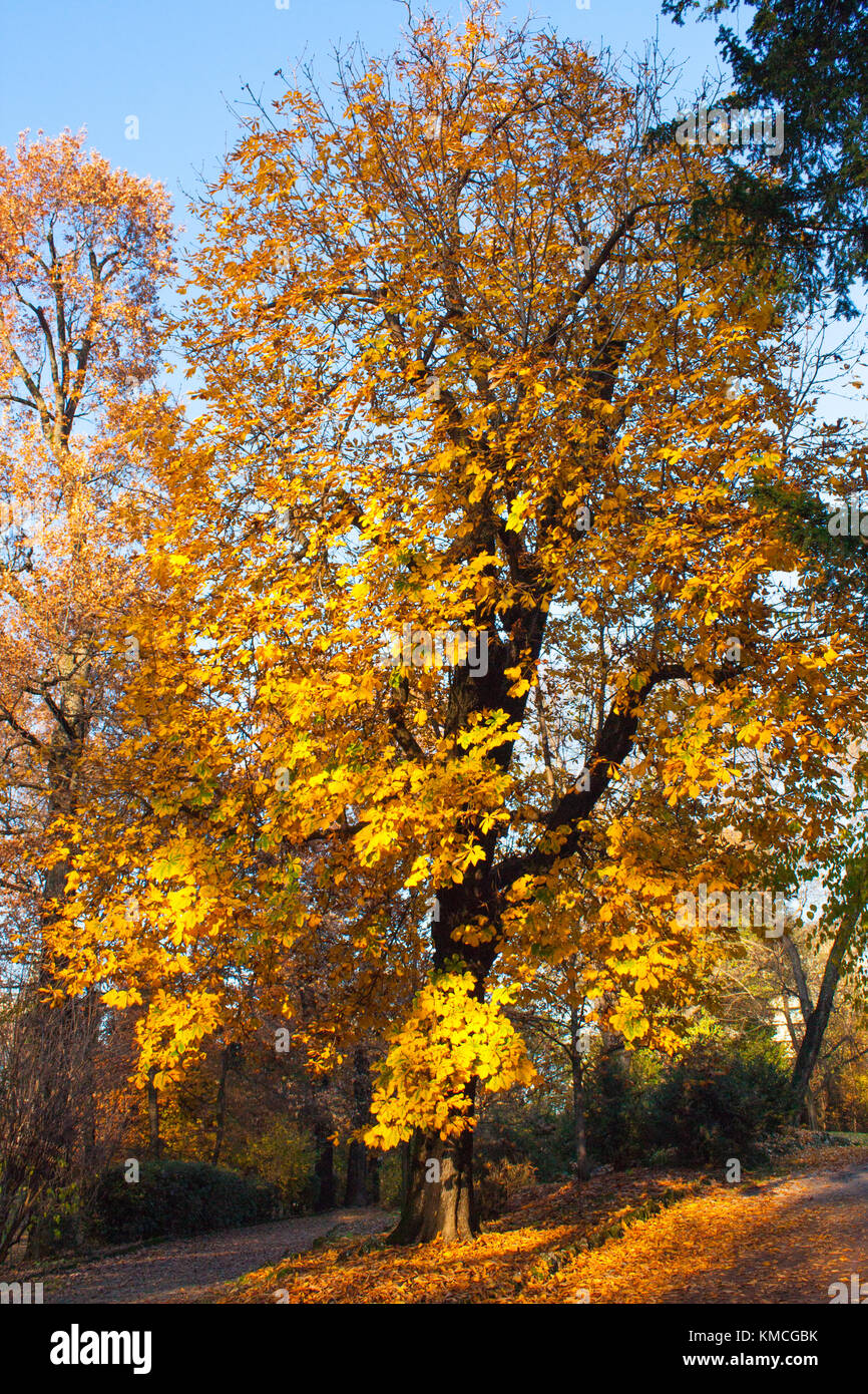 Yelow path hi-res stock photography and images - Alamy