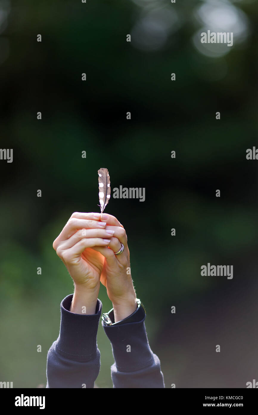 Black and white feather in woman's hands Stock Photo - Alamy