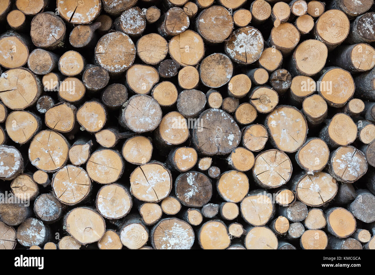 Closeup of cut firewood, natural wood background Stock Photo - Alamy