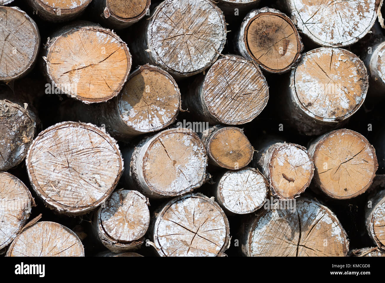 Closeup of cut firewood, natural wood background Stock Photo - Alamy