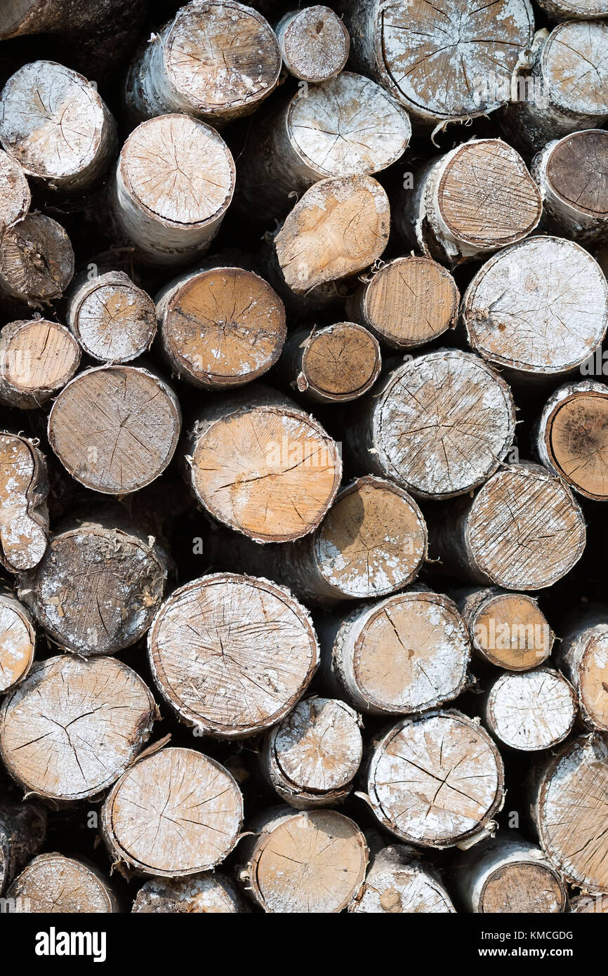 Closeup of cut firewood, natural wood background Stock Photo - Alamy