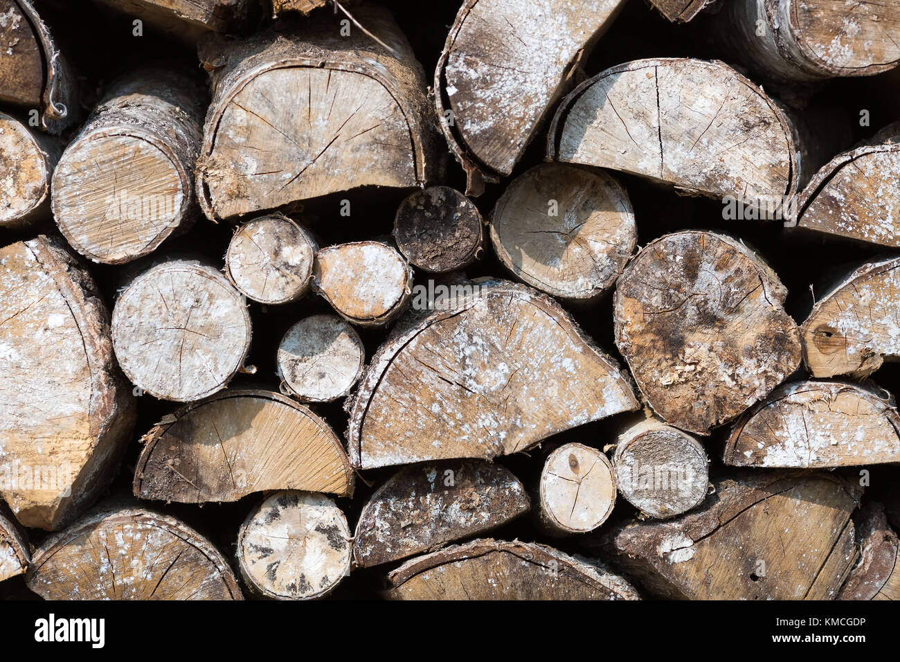 Closeup of cut firewood, natural wood background Stock Photo - Alamy