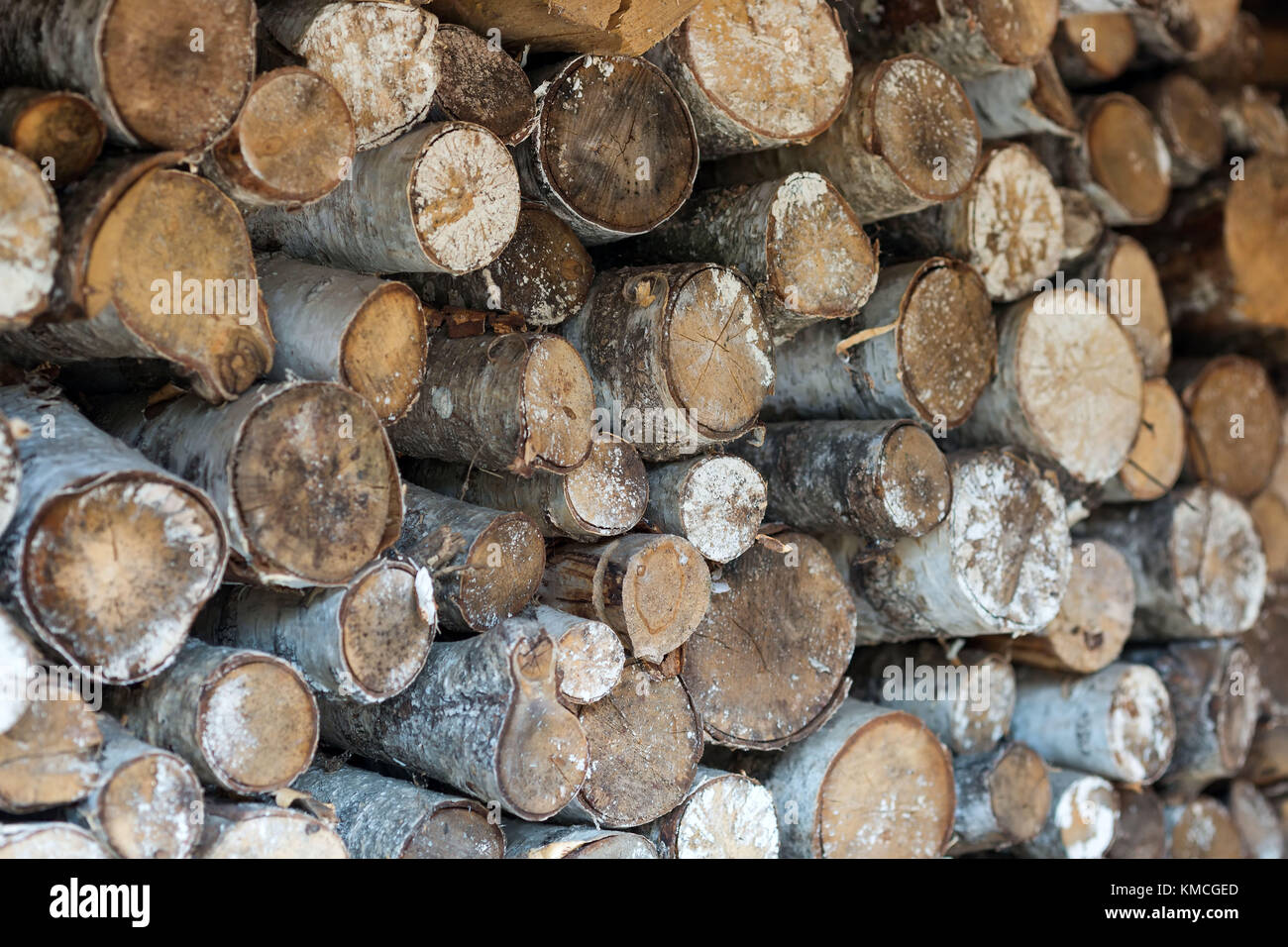 Closeup of cut firewood, natural wood background Stock Photo - Alamy