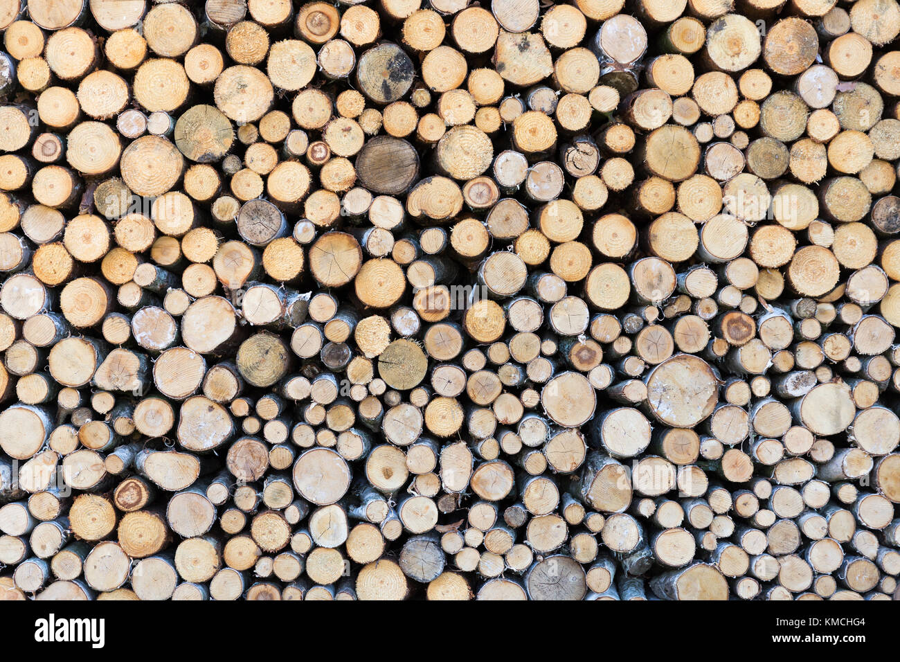 Closeup of cut firewood, natural wood background Stock Photo - Alamy